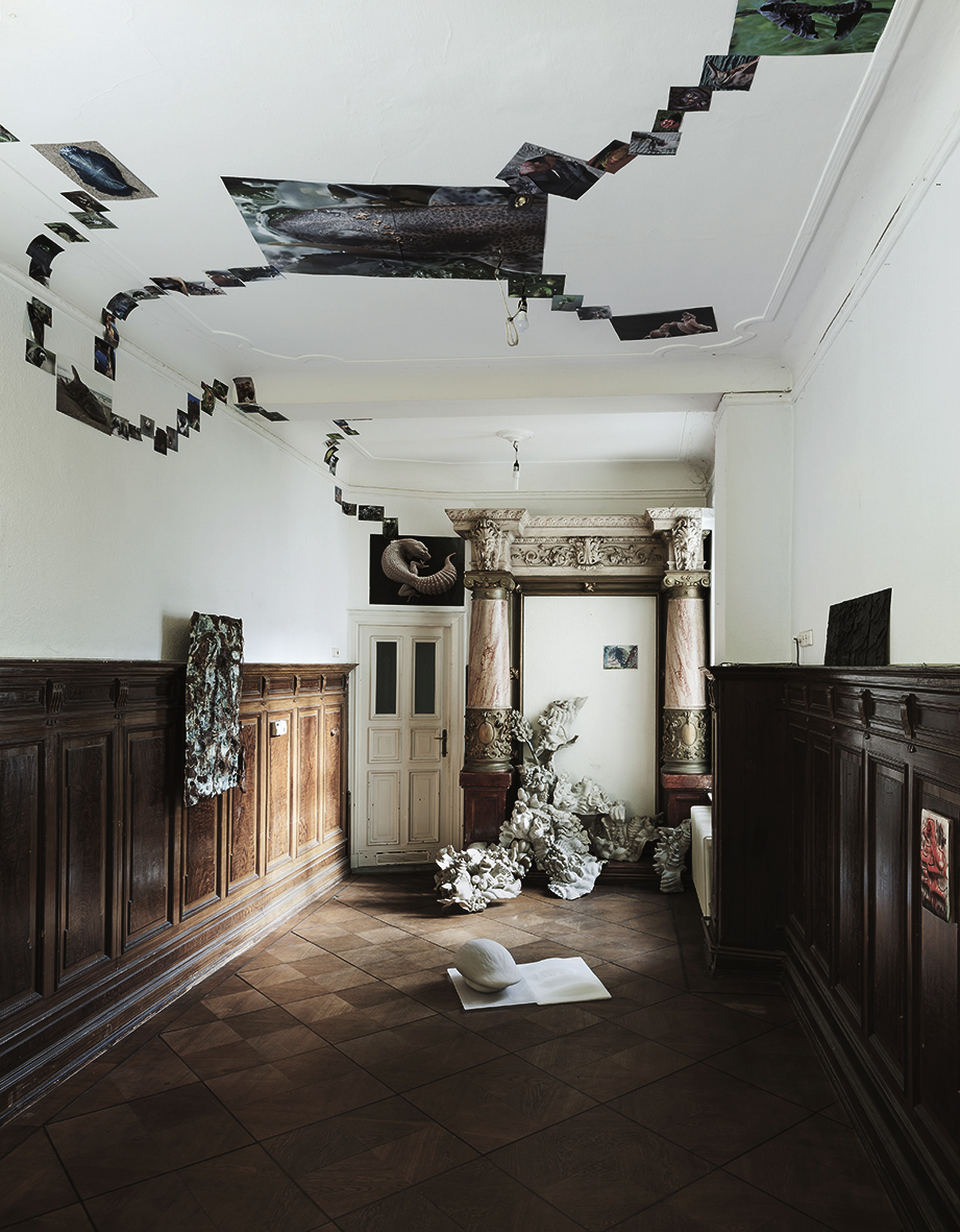 Bilderregen: Miriam Lenk • BLOG Poison Berlin